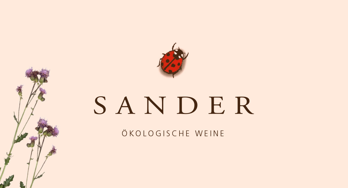 Sander